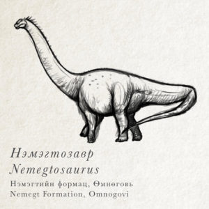 Nemegtosaurus – Institute for the Study of Mongolian Dinosaurs