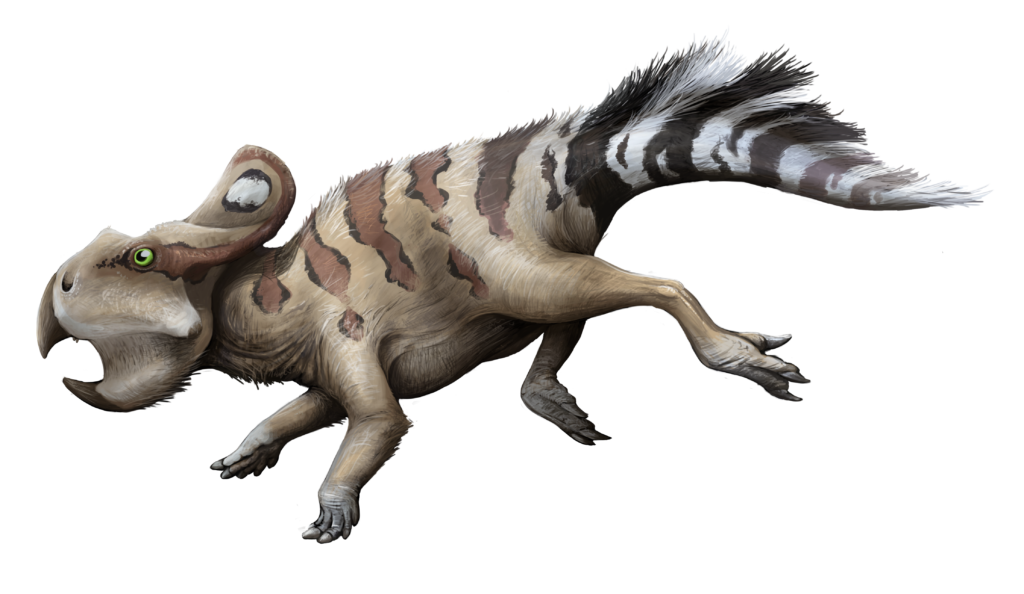 Protoceratops: a Frill, a Beak… and an Attitude – Institute for the ...